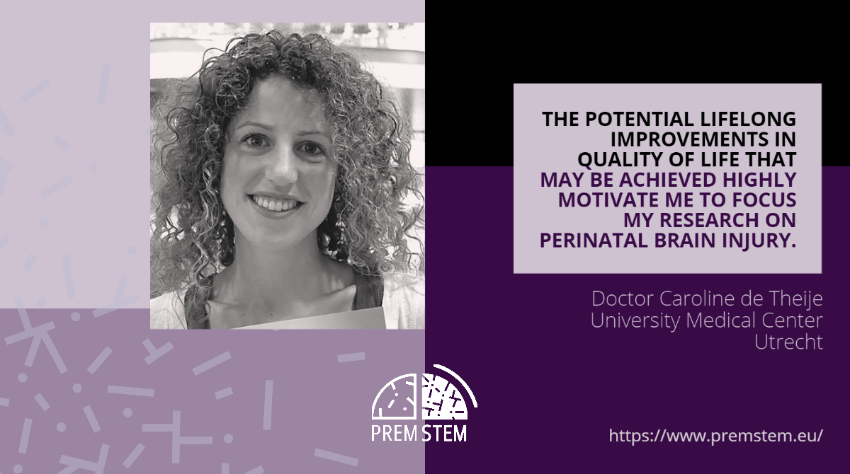 Research team profiles – PREMSTEM