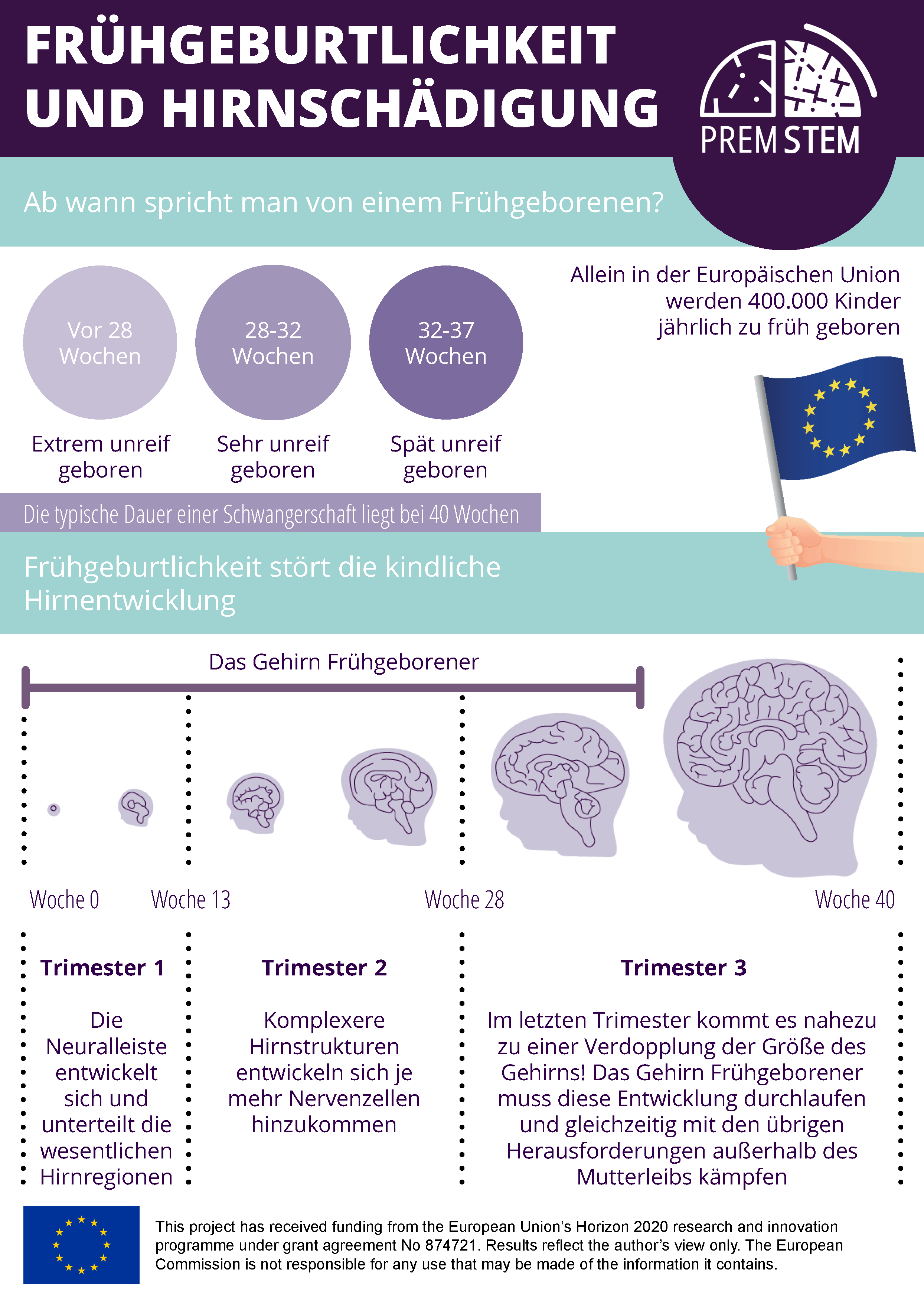 Resources – PREMSTEM